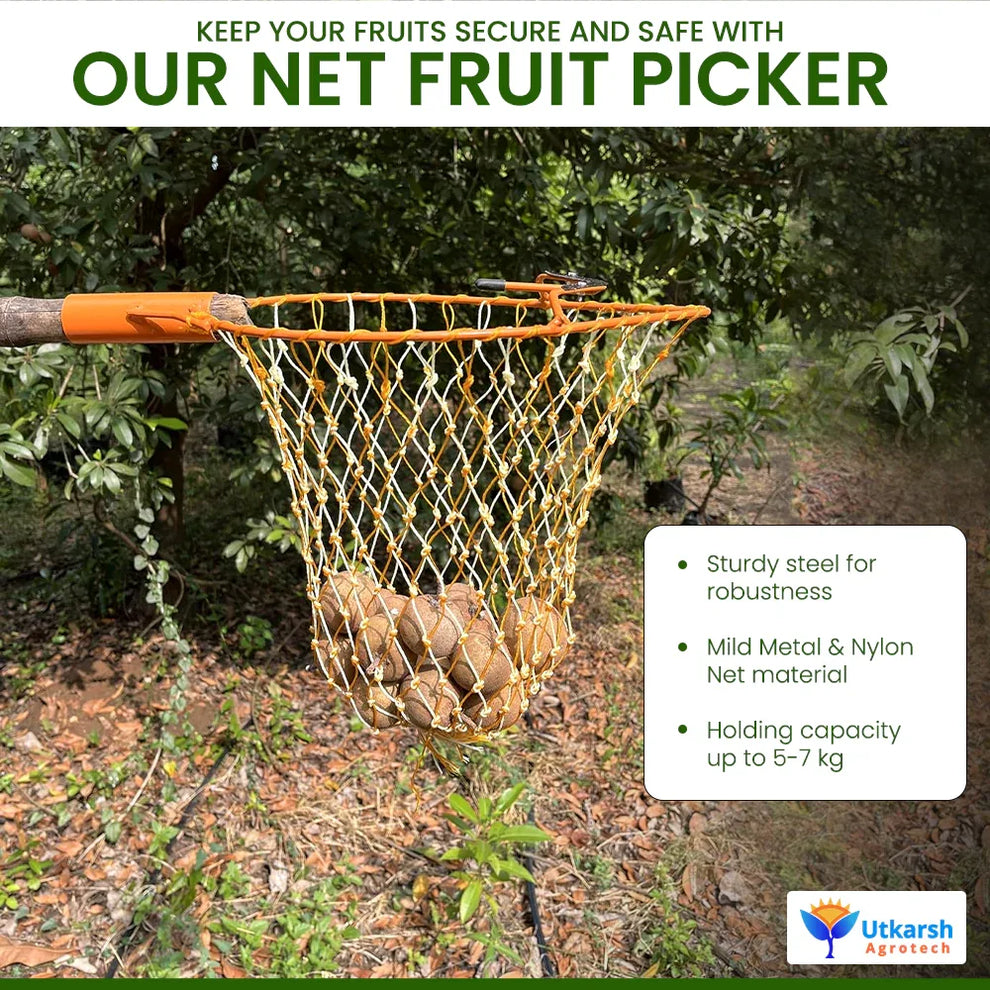 Mango Fruit Plucker Stick with Net | Fruit Picker | Fruit Harvester ...