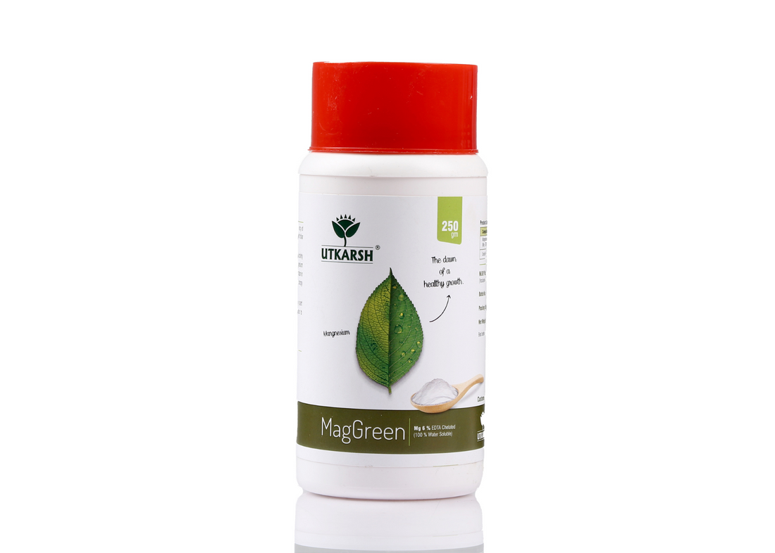 MagGreen (Magnesium Mg 5% EDTA Chelated, 100 % Water Soluble Foliar Sp