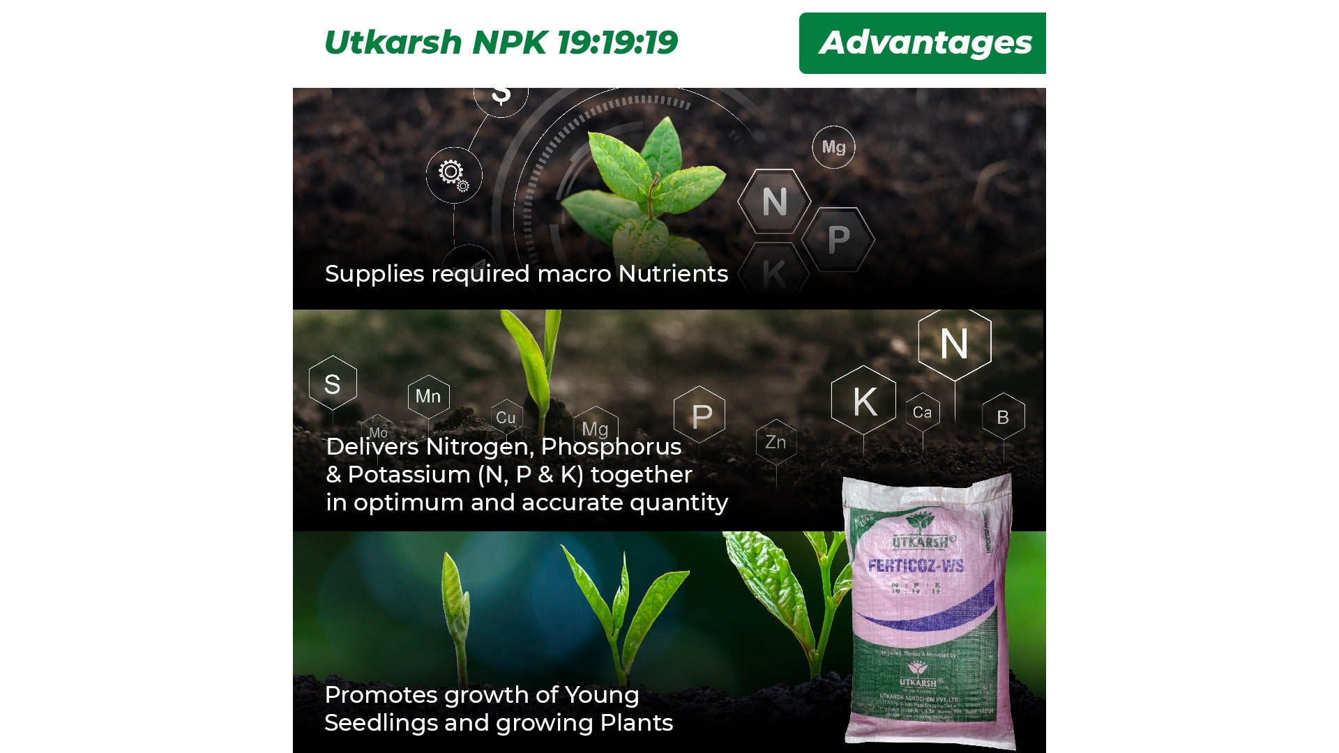 Quality NPK 19:19:19 Fertilizer Online - Utkarsh Agrochem