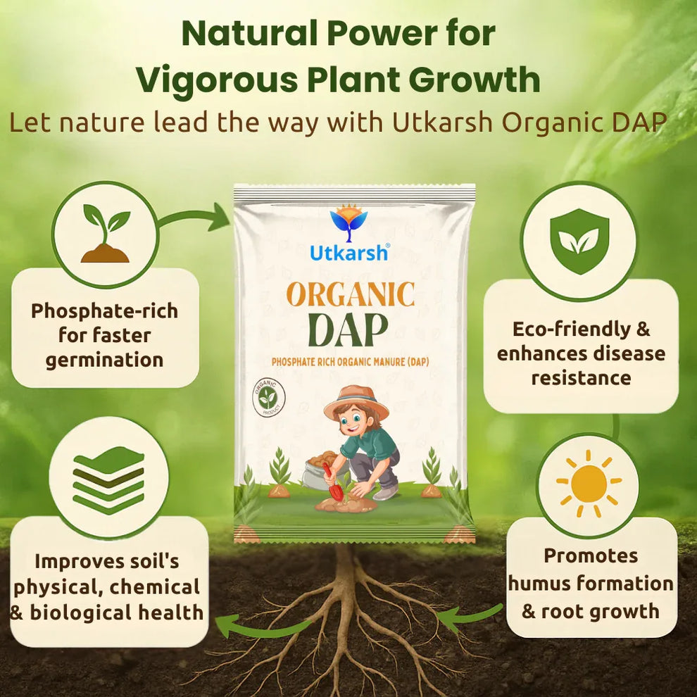 Organic DAP Fertilizers for Plants, Phosphate Rich Organic Manure for
