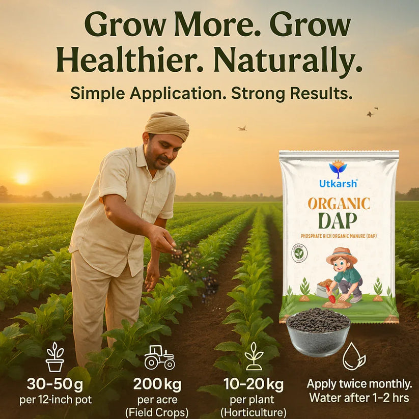 Organic DAP Fertilizers for Plants, Phosphate Rich Organic Manure for
