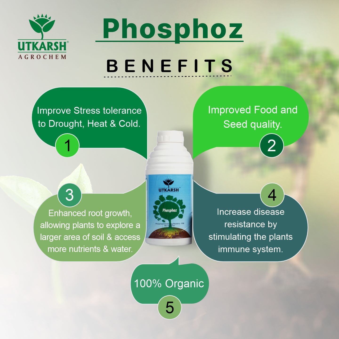 Phosphate Solubilizing Bacteria - PSB, Liquid Bio Fertilizer for Plant