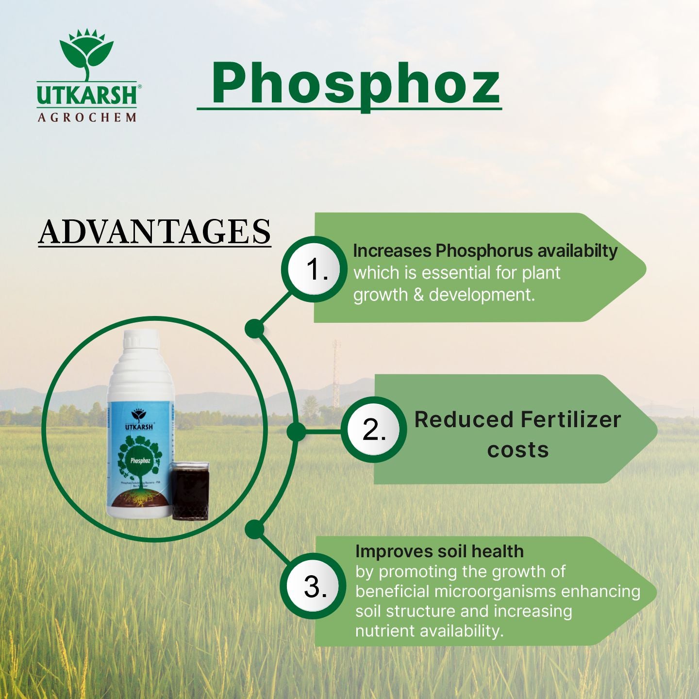 Phosphate Solubilizing Bacteria - PSB, Liquid Bio Fertilizer for Plant