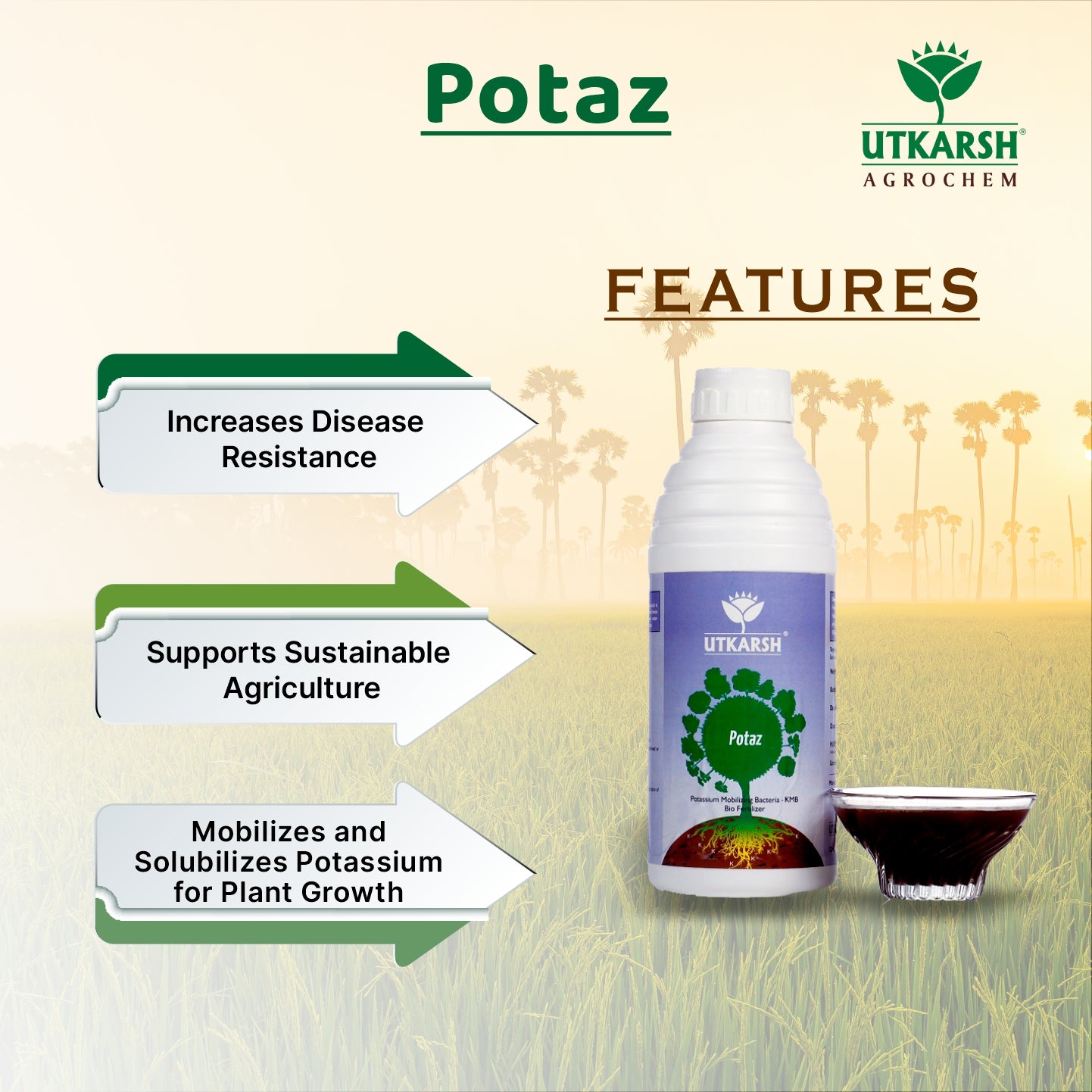 Potassium Solubilizing Bacteria - KSB, Liquid Bio Fertilizer for Plant