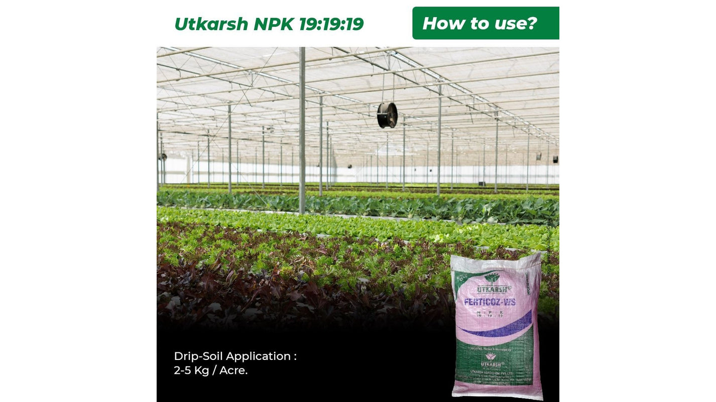Quality NPK 19:19:19 Fertilizer Online - Utkarsh Agrochem