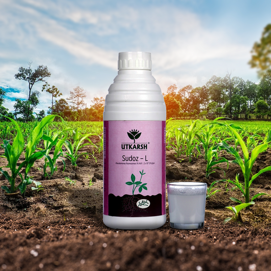 Utkarsh Agrochem Pvt ltd. – Opening Soon