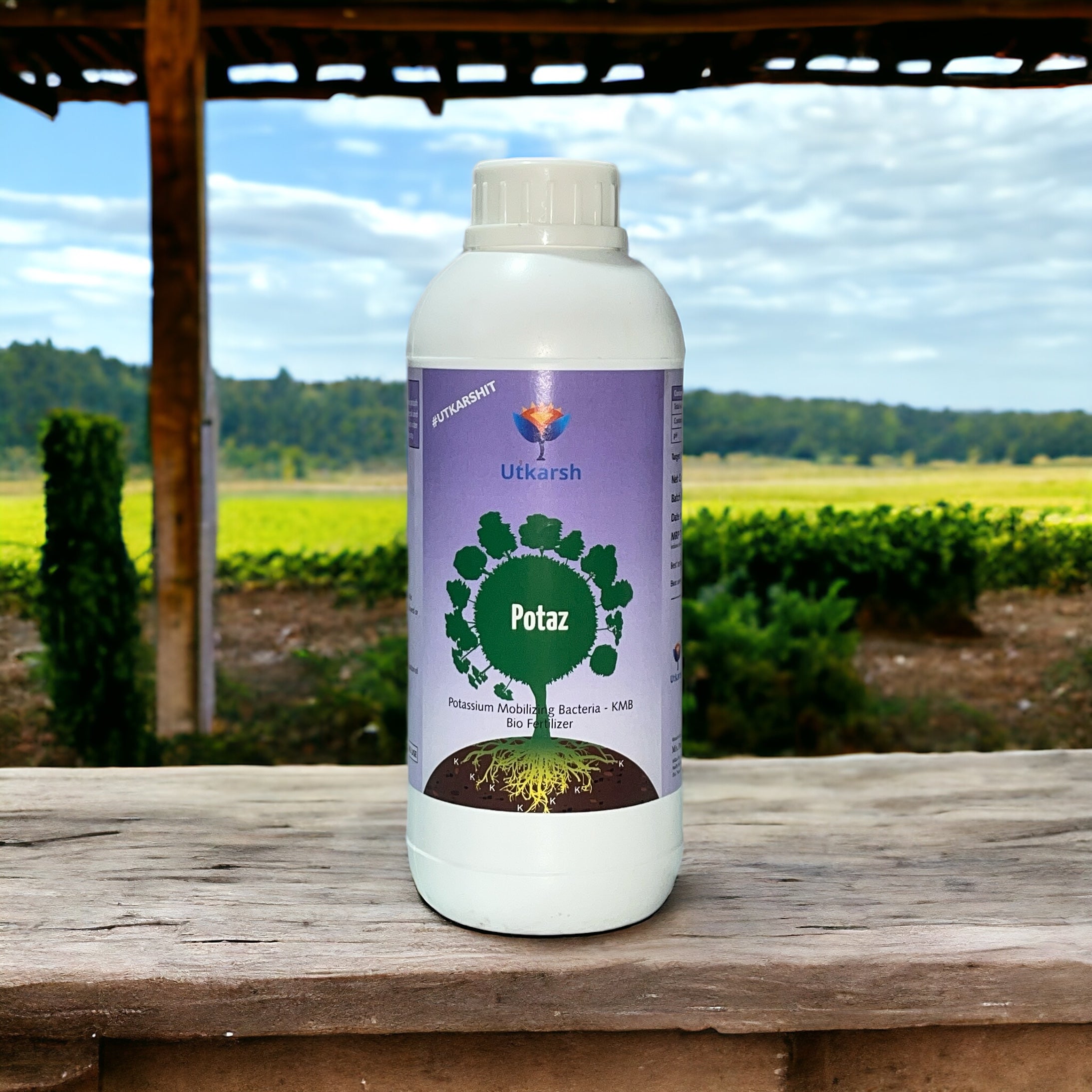 Potassium Solubilizing Bacteria - KSB, Liquid Bio Fertilizer for Plant